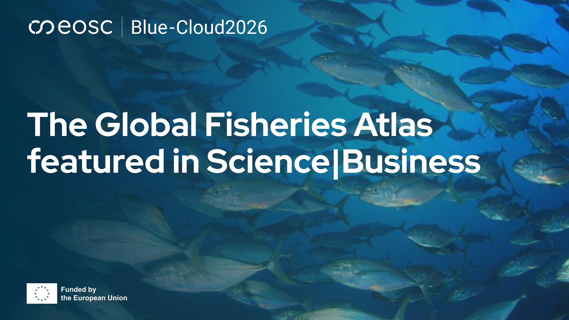 Science|Business Features the Blue-Cloud Global Fisheries Atlas | Blue-Cloud 2026